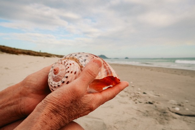 Healing with Sound at Kate Sound Health New Zealand